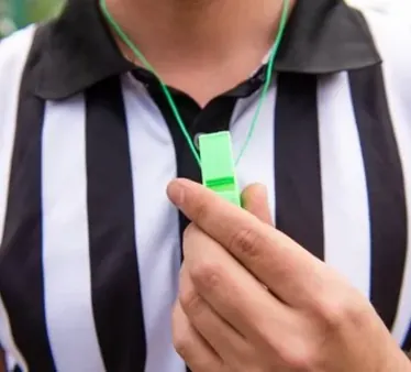 Referee Job Title Hierarchy | See Data Driven Job Levels and Steps For ...