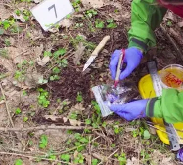 District Conservationist Job Description – Requirements, Salary, Jobs