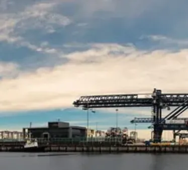 Stevedore Job Description – Requirements, Salary, Jobs