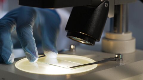 Research Officer Job Description – Requirements, Salary, Jobs