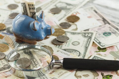 Collector Job Title Hierarchy | See Data Driven Job Levels and Steps ...