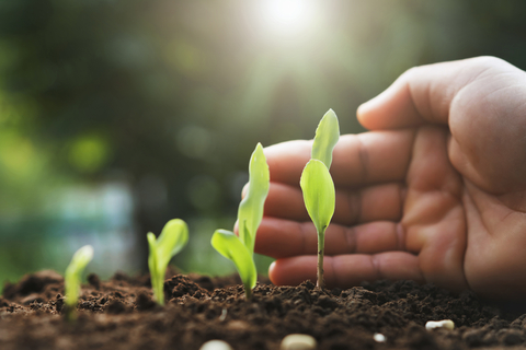 Farm Worker Job Description – Requirements, Salary, Jobs