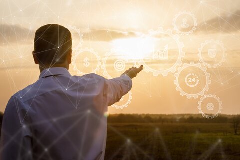 Field Coordinator Job Description – Requirements, Salary, Jobs