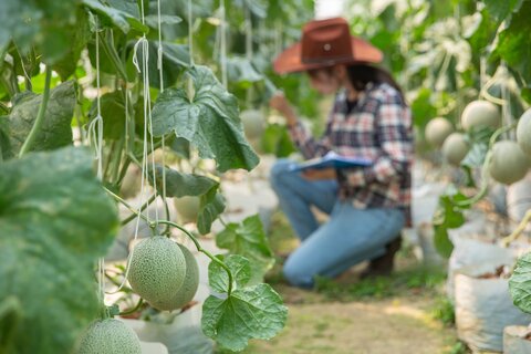 Research Officer Job Description – Requirements, Salary, Jobs