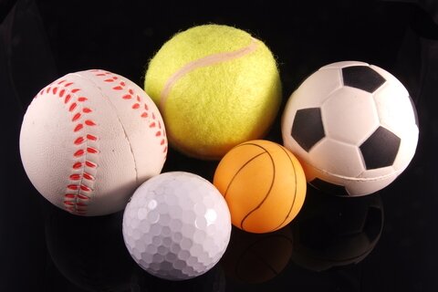 Sports Editor Career Path | Jobtrees