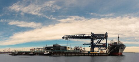 Stevedore Job Description – Requirements, Salary, Jobs