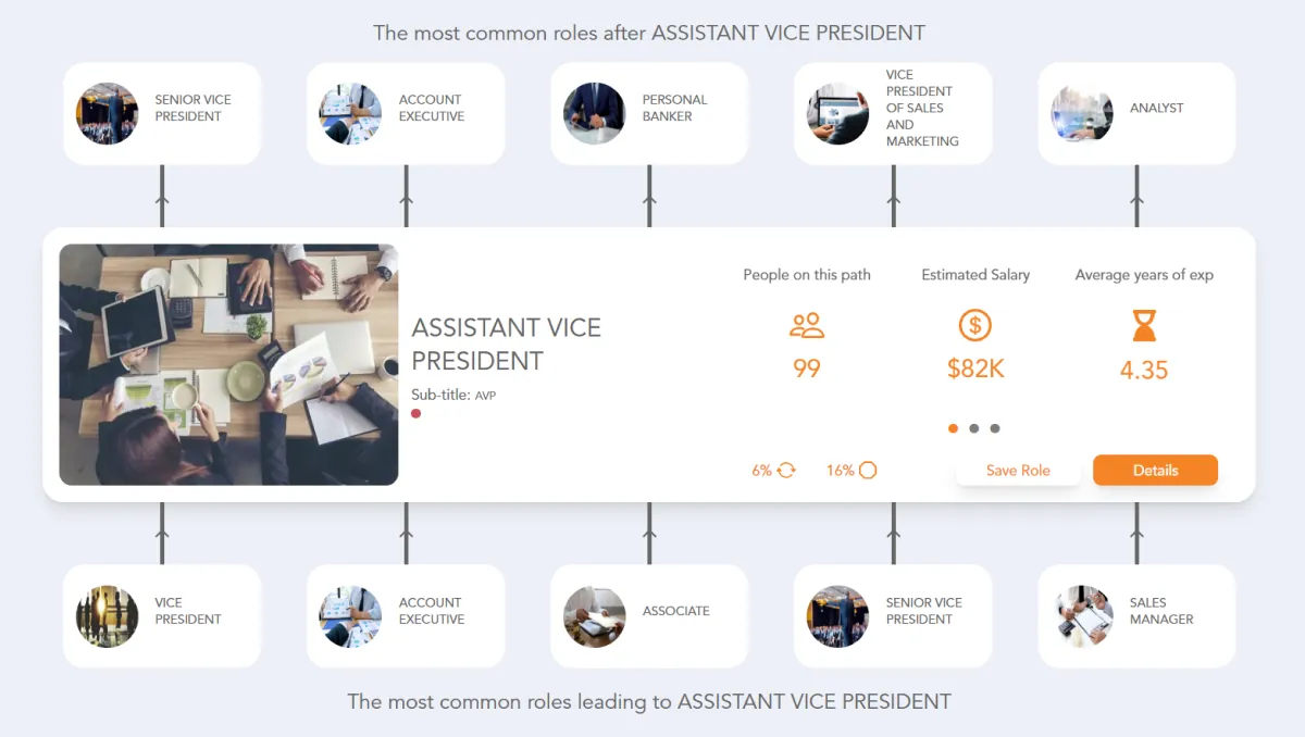 Assistant Vice President Career Path | Jobtrees