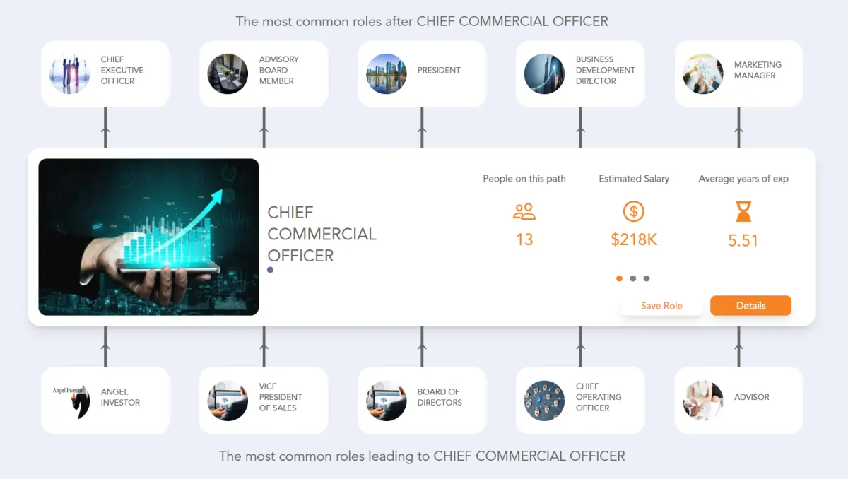 Chief Commercial Officer Career Path | Jobtrees