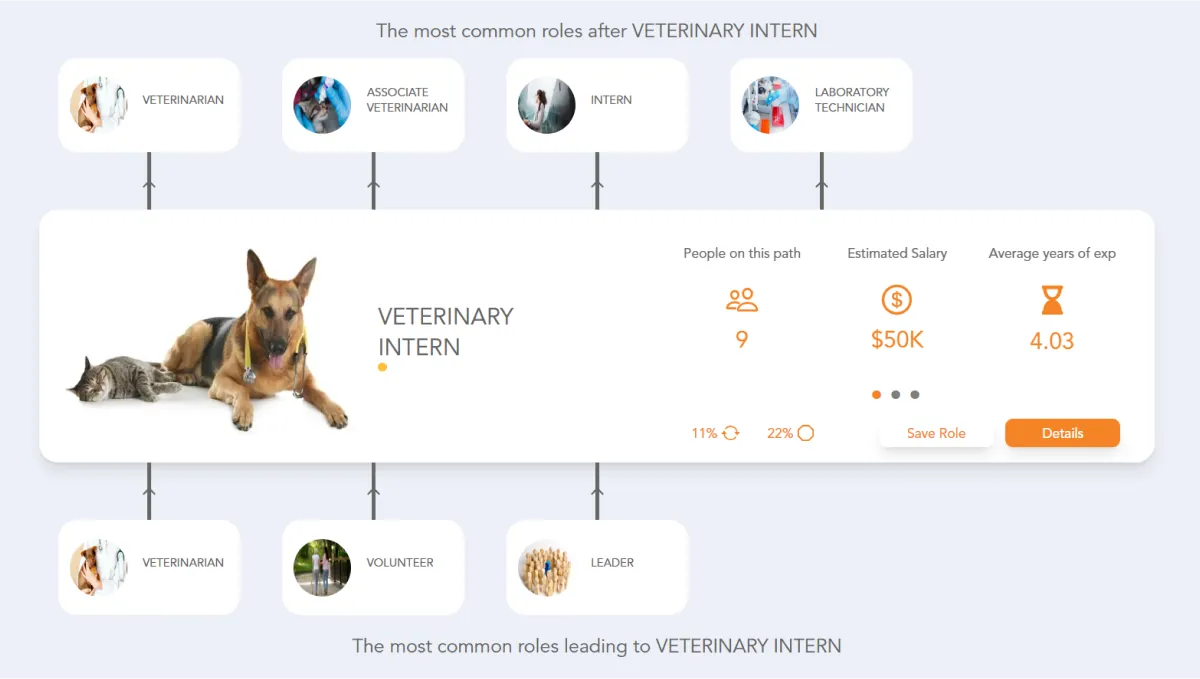 Veterinary Intern Career Path | Jobtrees