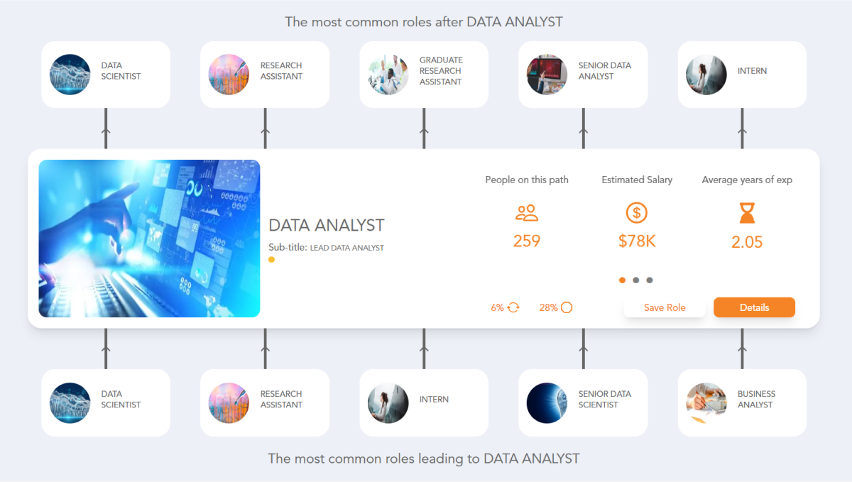 Data Analyst Career Path | See the Career Paths People Really Take