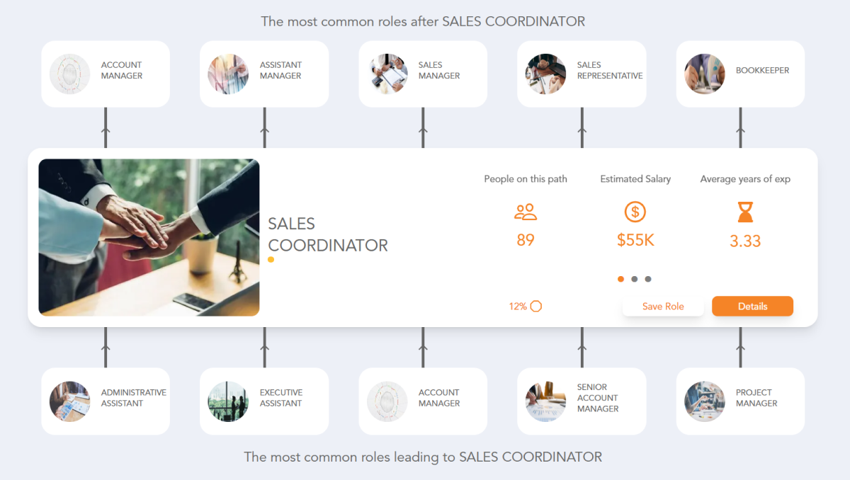 Sales Coordinator Career Path | See the Career Paths People Really Take