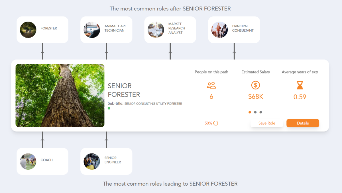 Senior Forester Career Path | See the Career Paths People Really Take