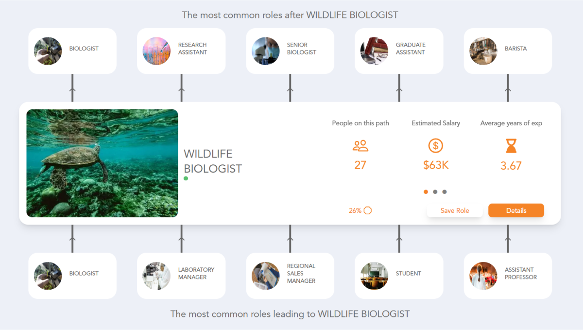 Wildlife Biologist Career Path | See the Career Paths People Really Take